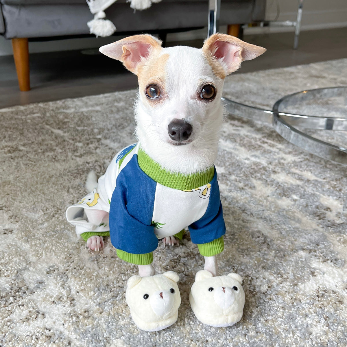 Happy Slippers Toy – Bao The Chi